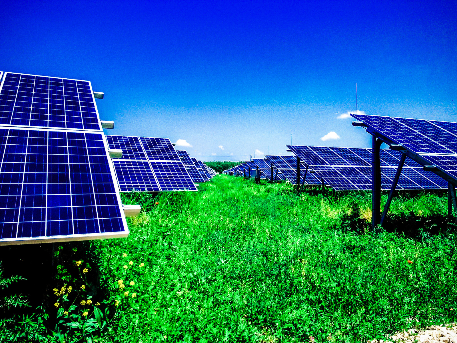 EPSILON PROIECT – Proiectare structurala